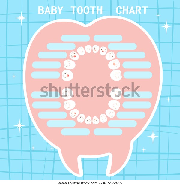 Baby Tooth Chart On Blue Background Stock Vector (Royalty Free) 746656885