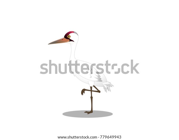 Baby Whooping Crane Cartoon Vector Image: Stock-Vektorgrafik ...