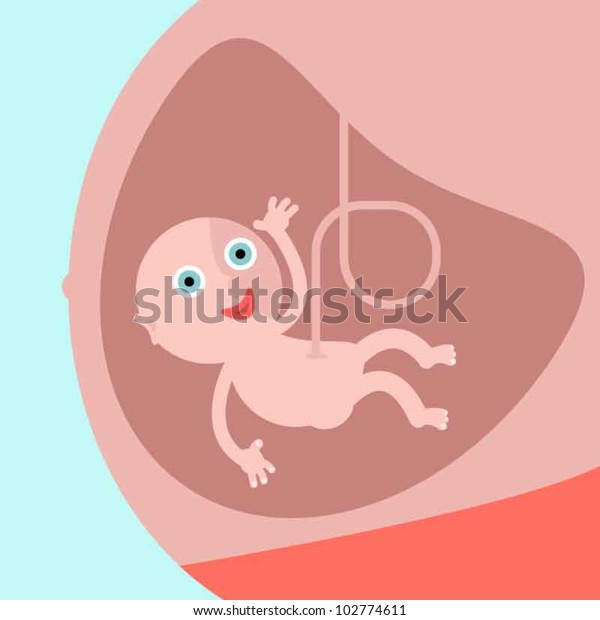 Baby Womb Stock Vector (Royalty Free) 102774611