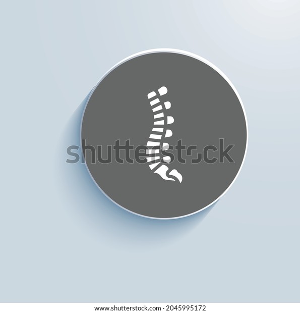 Back Spine Surgery Treatment Stock Vector (Royalty Free) 2045995172 ...