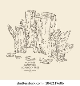 Background Agar Wood Oud Tree Leaves 库存矢量图（免版税）1842119686 | Shutterstock
