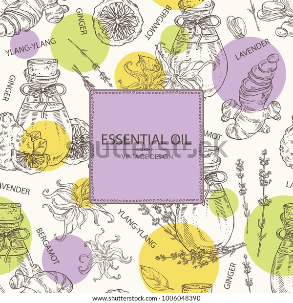 Background Bottles Essential Oils Essential Oil Stock Vector (Royalty ...