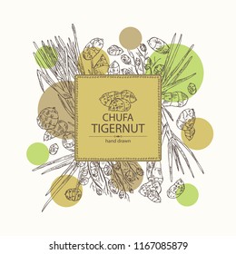 2,664 Tiger nuts Images, Stock Photos & Vectors | Shutterstock