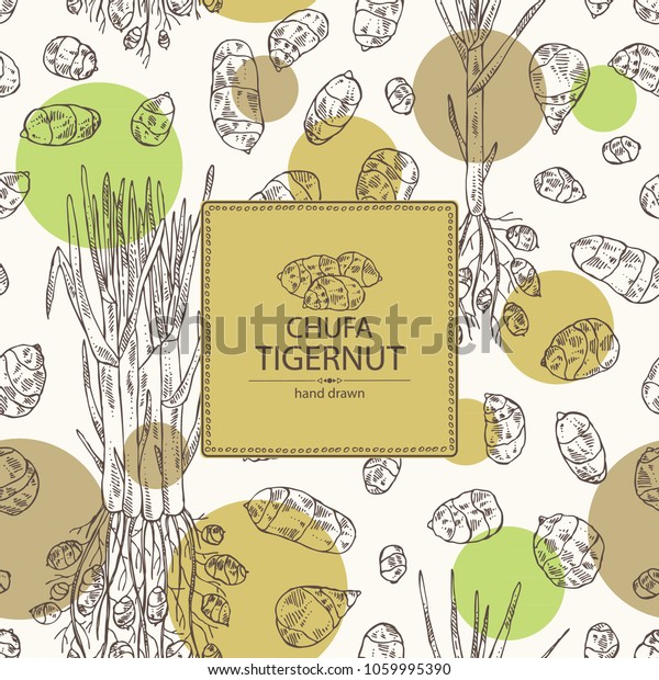 Background Chufa Tiger Nut Tuber Chufa Stock Vector (Royalty Free ...