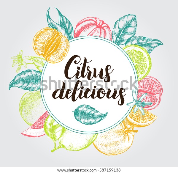 Background Citrus Fruits Brush Calligraphy Style Stock Vector (Royalty ...
