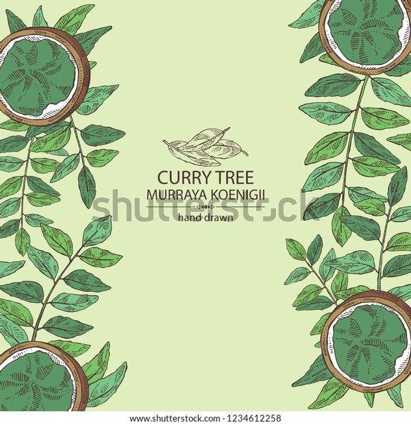Background Curry Tree Branch Powder Curry Stock Vector (Royalty Free ...
