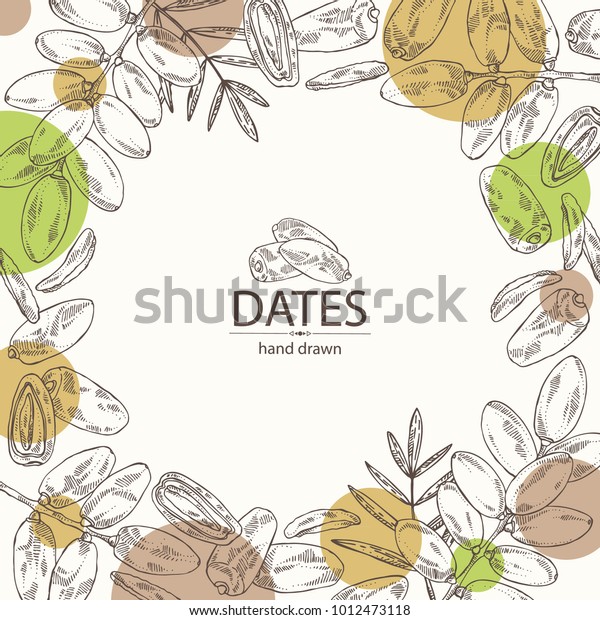 Background Date Fruit Branch Date Fruits Stock Vector (Royalty Free ...