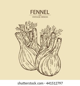3,669 Fennel draw Images, Stock Photos & Vectors | Shutterstock
