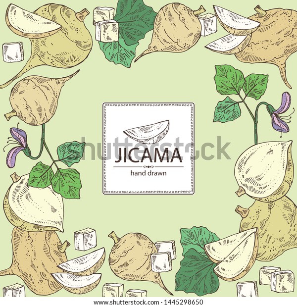 Background Jicama Tuber Jicama Leaves Flower Stock Vector (Royalty Free ...