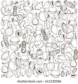 Background Nuts Vector Illustration Stock Vector (Royalty Free ...