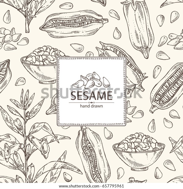 Background Sesame Sesame Plant Sesame Seeds Stock Vector (Royalty Free ...