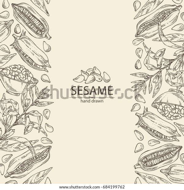 Background Sesame Sesame Plant Sesame Seeds Stock Vector (Royalty Free ...