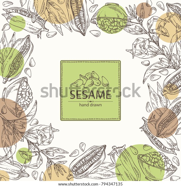 Background Sesame Sesame Plant Sesame Seeds Stock Vector (Royalty Free ...