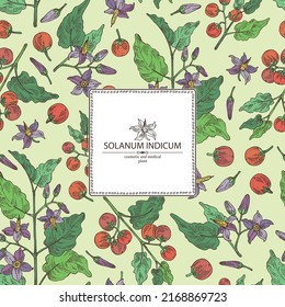 Background Solanum Indicum Brihati Plant Leaves Stock Vector (Royalty ...
