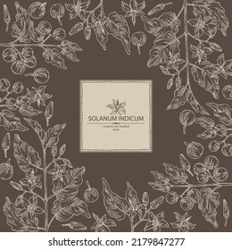 Background Solanum Indicum Brihati Plant Leaves Stock Vector (Royalty ...