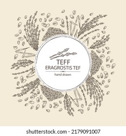 Background Teff Plant Leaves Teff Grains Stock Vector (Royalty Free ...