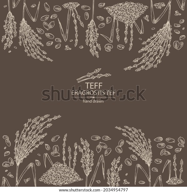 Background Teff Plant Leaves Teff Grains Stock Vector (Royalty Free ...