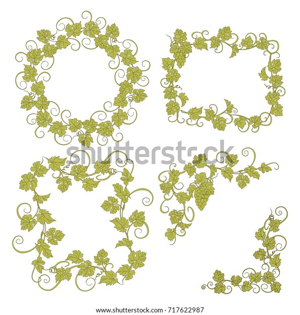 Background Text Vines Bunches Grapes Set Stock Vector (Royalty Free ...