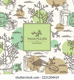 1,559 Conifer Cosmetics Images, Stock Photos & Vectors | Shutterstock