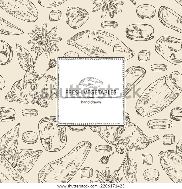 Background Vegetables Batat Tuber Yams Sweet Stock Vector (Royalty Free ...