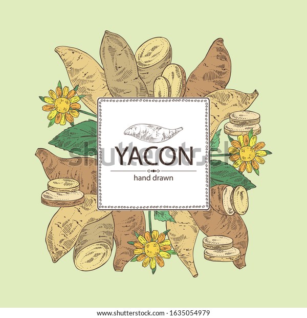 Background Yacon Full Yacon Piece Yacon Stock Vector (Royalty Free ...