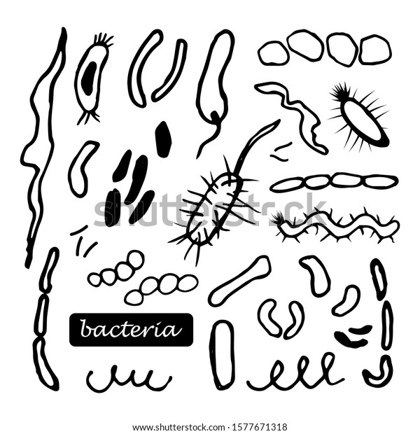 Bacteria Germs Doodle Set Microorganisms Disease Stock Vector (Royalty ...