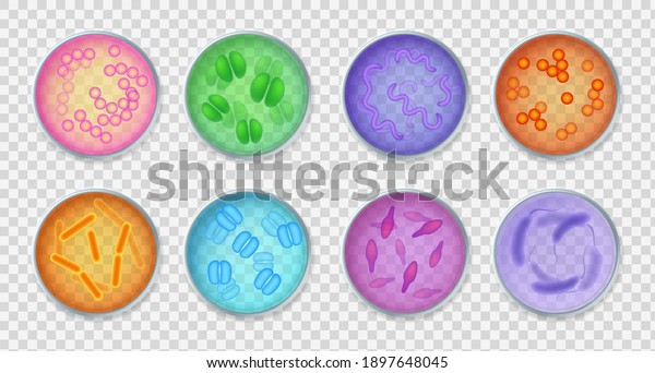5,074 Realistic Germs Images, Stock Photos & Vectors | Shutterstock