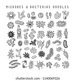 5,766 Microbes Hand Drawn Images, Stock Photos & Vectors | Shutterstock