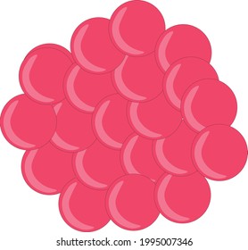Bacteria Staphylococcus Aureus Isolated On White Stock Vector (Royalty ...