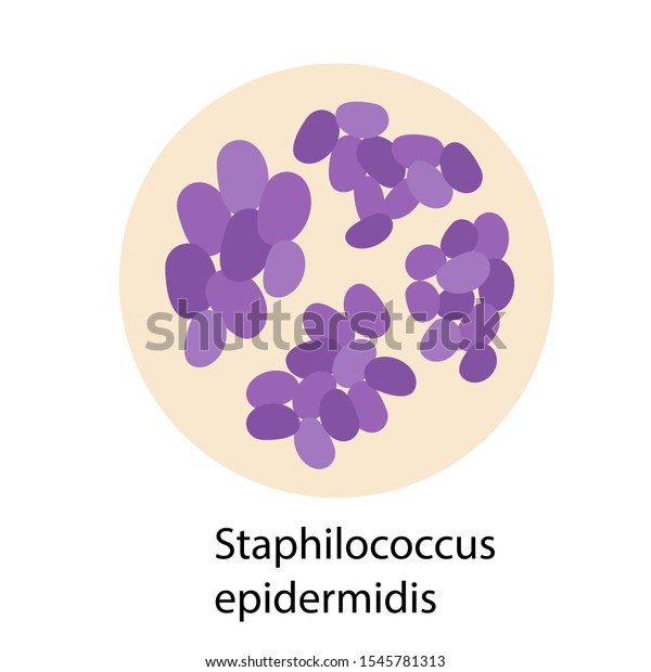 Bacteria Staphylococcus Epidermidis Icon Isolated On: vetor stock ...