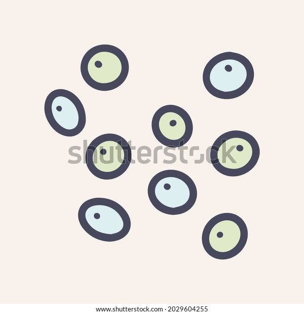 Bacteria Veillonella Color Vector Doodle Icon Stock Vector (Royalty ...