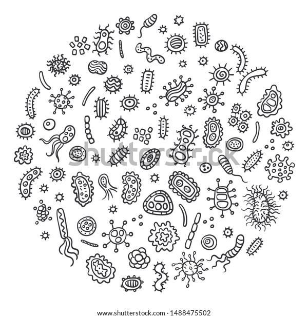 Bacteria Outline Drawing Line Biology Clipart Centipede Infection ...