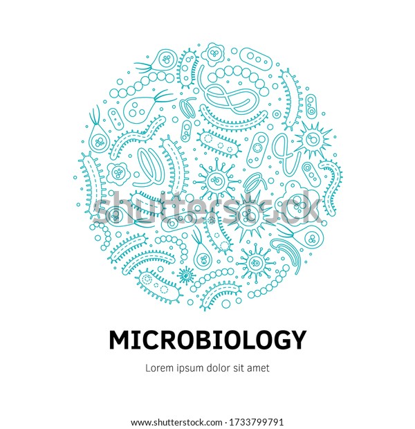 Bacterial Microorganism Template Bacteria Germs Colorful Stock Vector ...