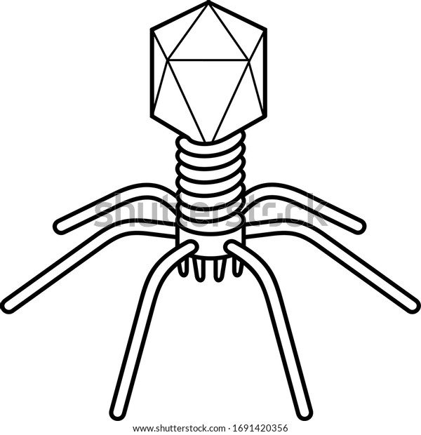 Bacteriophage Virus Vector Outline Icon Stock Vector Royalty Free 1691420356 Shutterstock