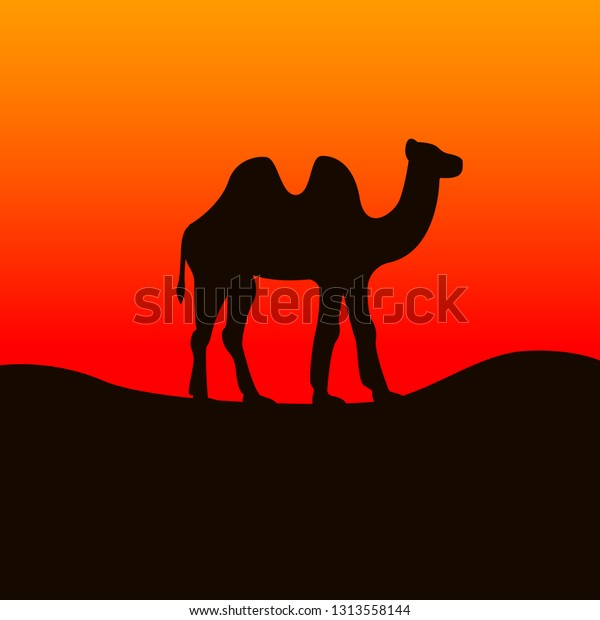 Bactrian Camel Gobi Desert Vector Illustration 스톡 벡터(로열티 프리) 1313558144 ...