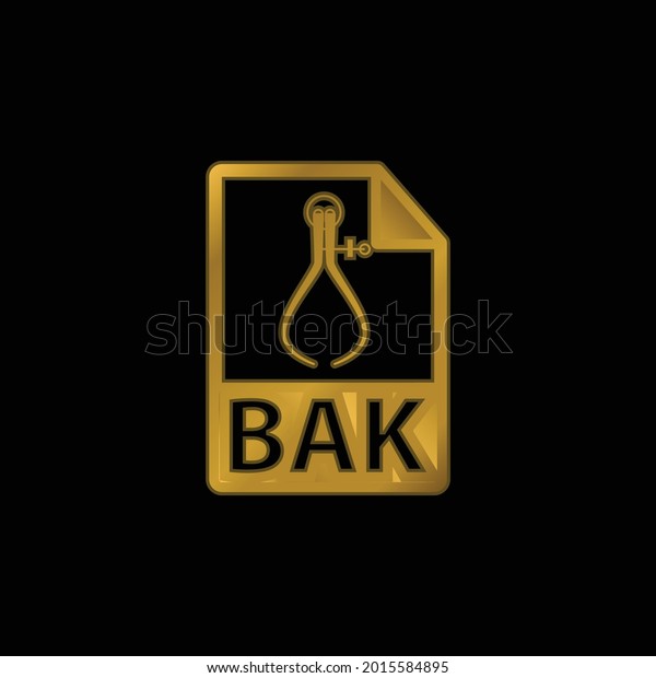 Bak File Format Symbol Gold Plated Stock Vector (Royalty Free ...
