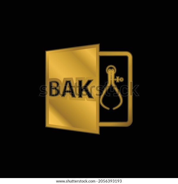 Bak File Format Symbol Gold Plated Stock Vector (Royalty Free ...