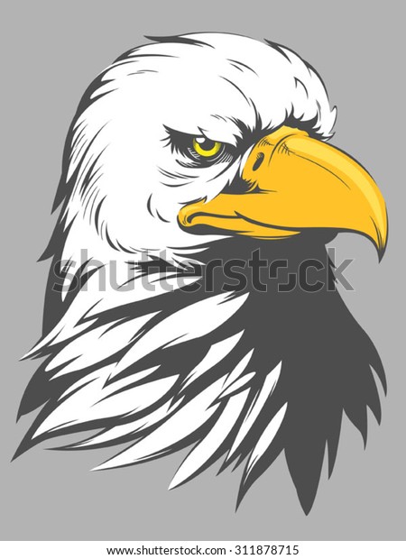 Bald Eagle Head Cartoon Stock Vector (Royalty Free) 311878715