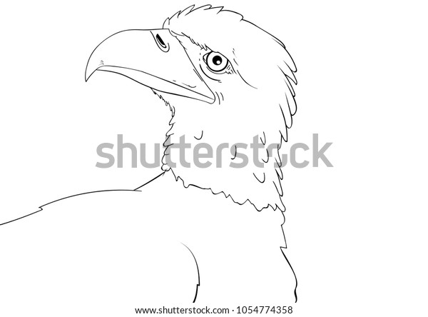 Bald Eagle Outline Drawing Stock Vector (Royalty Free) 1054774358