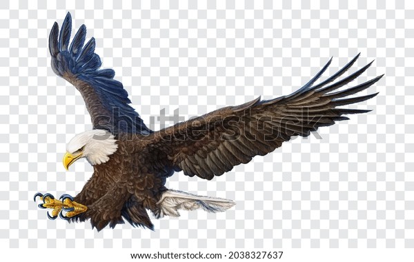Bald Eagle Swoop Attack Hand Draw Stock Vector (Royalty Free ...