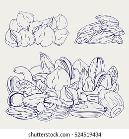 Ballpoint Pen Drawing Nuts Mix Illustration Stock Vector (Royalty Free ...