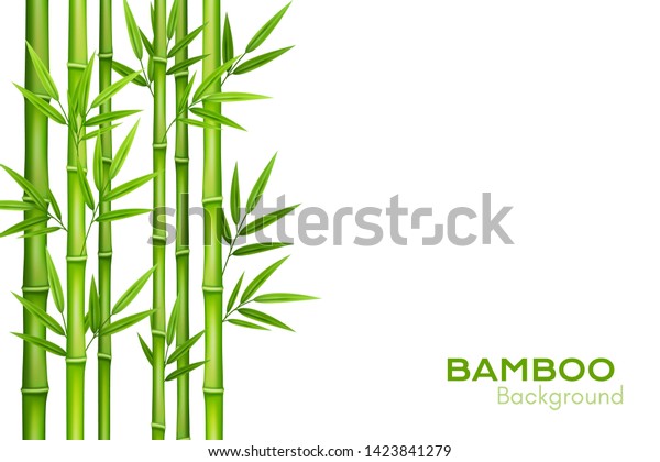 Bamboo Background Place Text Realistic Vector: เวกเตอร์สต็อก (ปลอดค่า ...