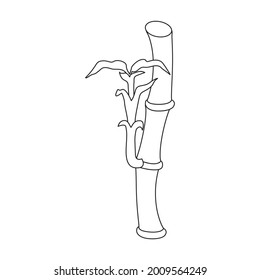 Bamboo Vector Outline Icon Vector Illustration Stock Vector (Royalty ...