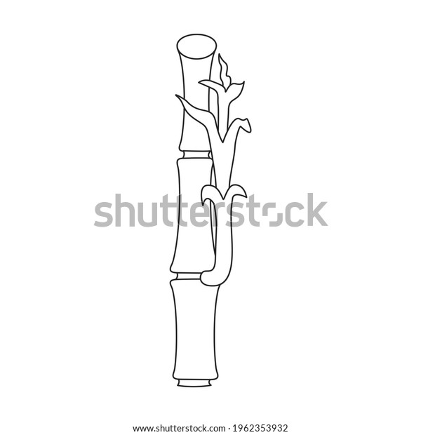 Bamboo Vector Outline Icon Vector Illustration Stock Vector (Royalty ...
