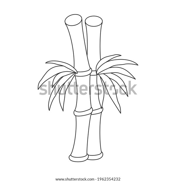 Bamboo Vector Outline Icon Vector Illustration Stock Vector (Royalty ...