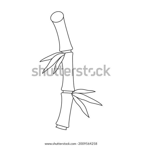 Bamboo Vector Outline Icon Vector Illustration Stock Vector (Royalty ...