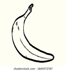 Banana Black White Drawing Sketch Vector Stock Vector (Royalty Free ...