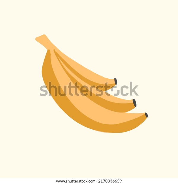 Banana Branch Vector Fresh Simple Illustration Stock Vector (Royalty ...