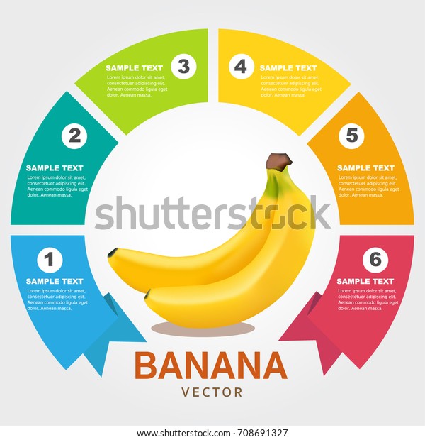 Banana Infographic Stock Vector (Royalty Free) 708691327 | Shutterstock