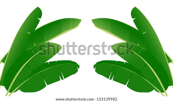 Banana Leaf Vector Isolated On White Stock Vector (Royalty Free) 533139982